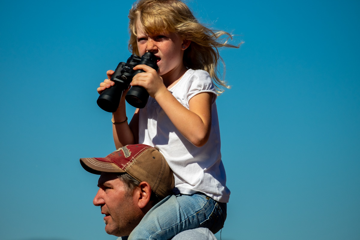 Looking & Not Looking – Alex Galt