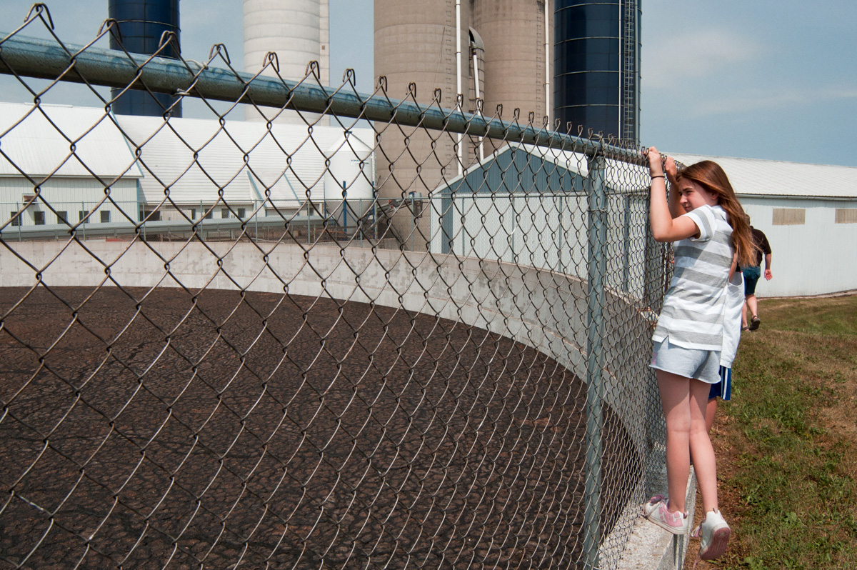 Looking & Not Looking – Alex Galt